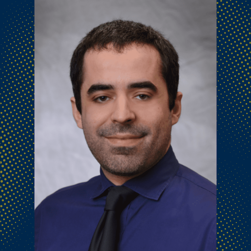 Jason Goldstick, PhD – Opioid Research Institute